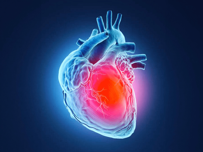 Preventive Health Services | Early Detection Scans | LifeGenix Dallas